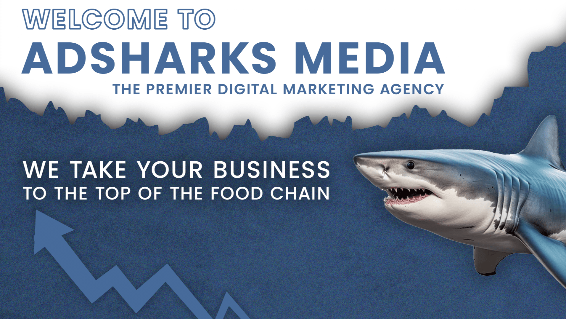 Ad Sharks Media - The Premier Digital Marketing Agency